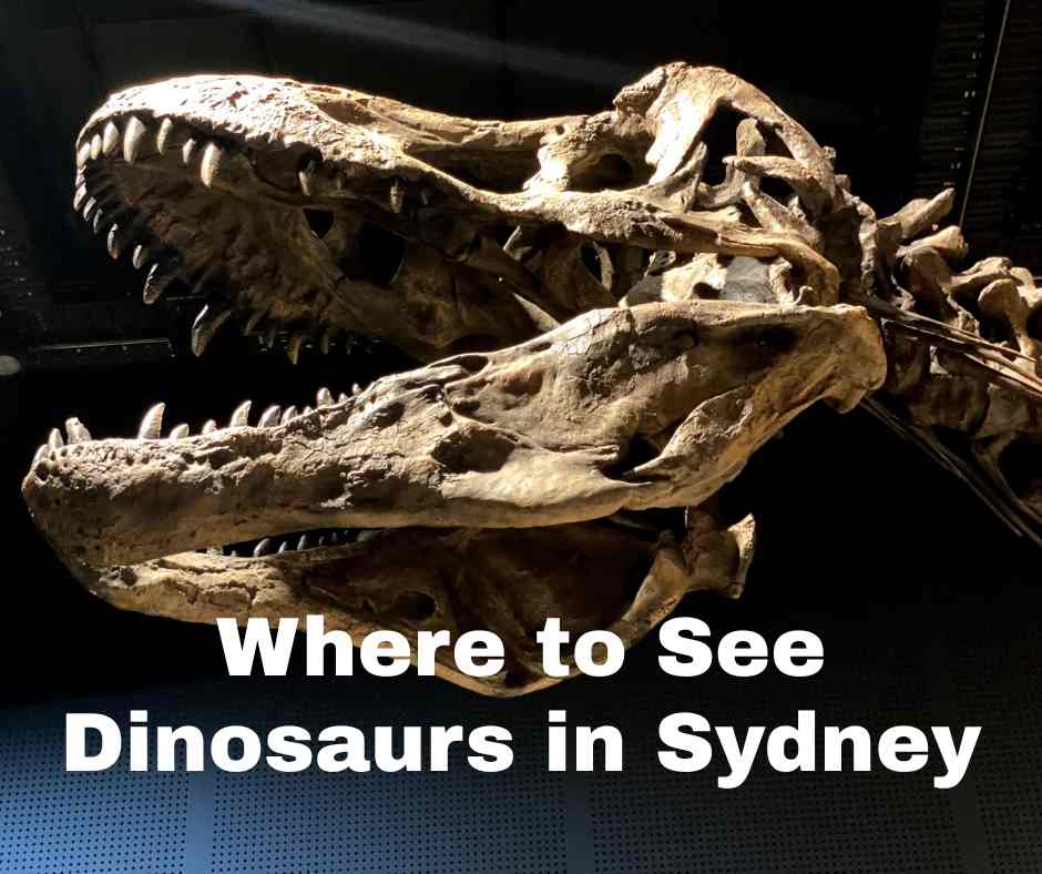 Where to See Dinosaurs in Sydney - The Kid Bucket List